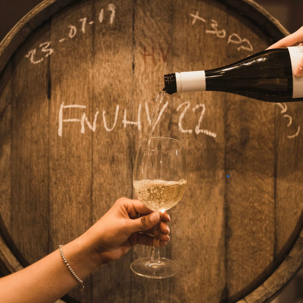 Vineyard tour and tastings – Vankleek Hill Vineyard